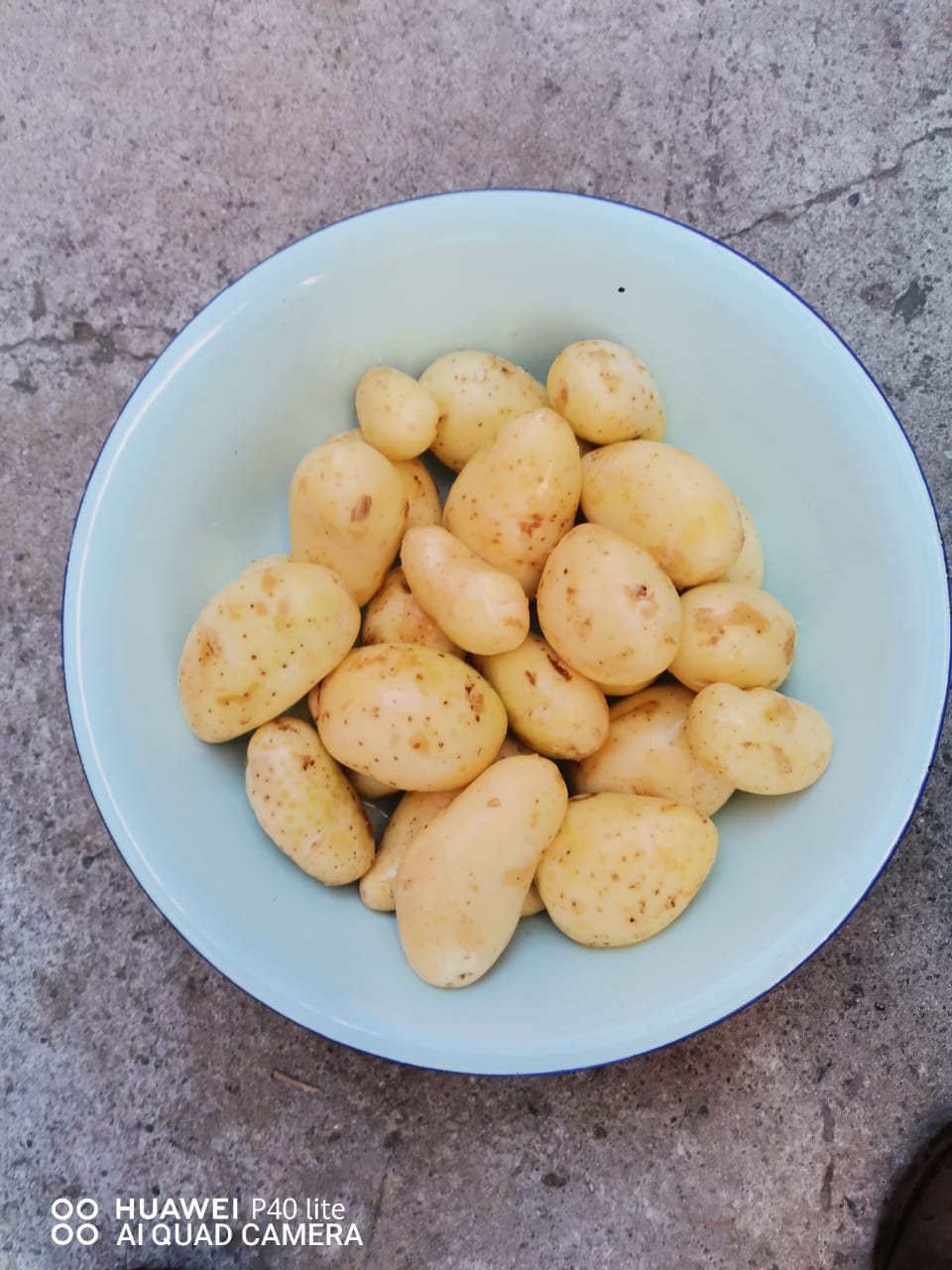 Embheka Mix Farming - Home - KASIKONNECT